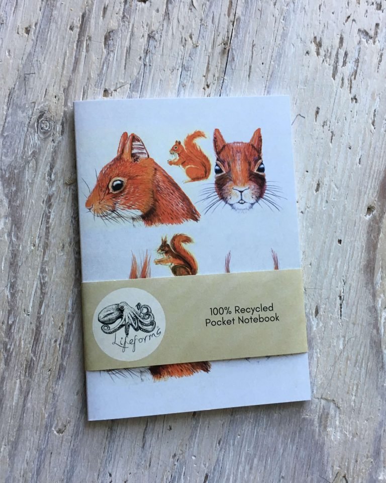 Red Squirrel Face Pocket Notebook - Lifeforms Art