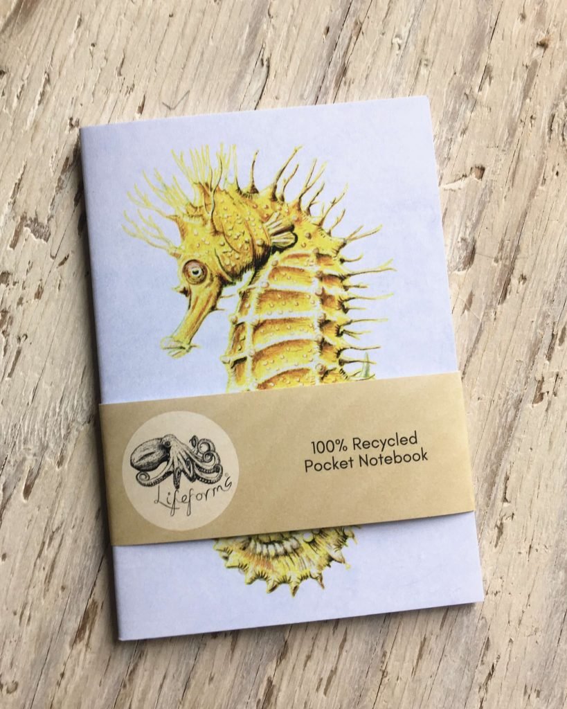 Seahorse Pocket Notebook - Lifeforms Art