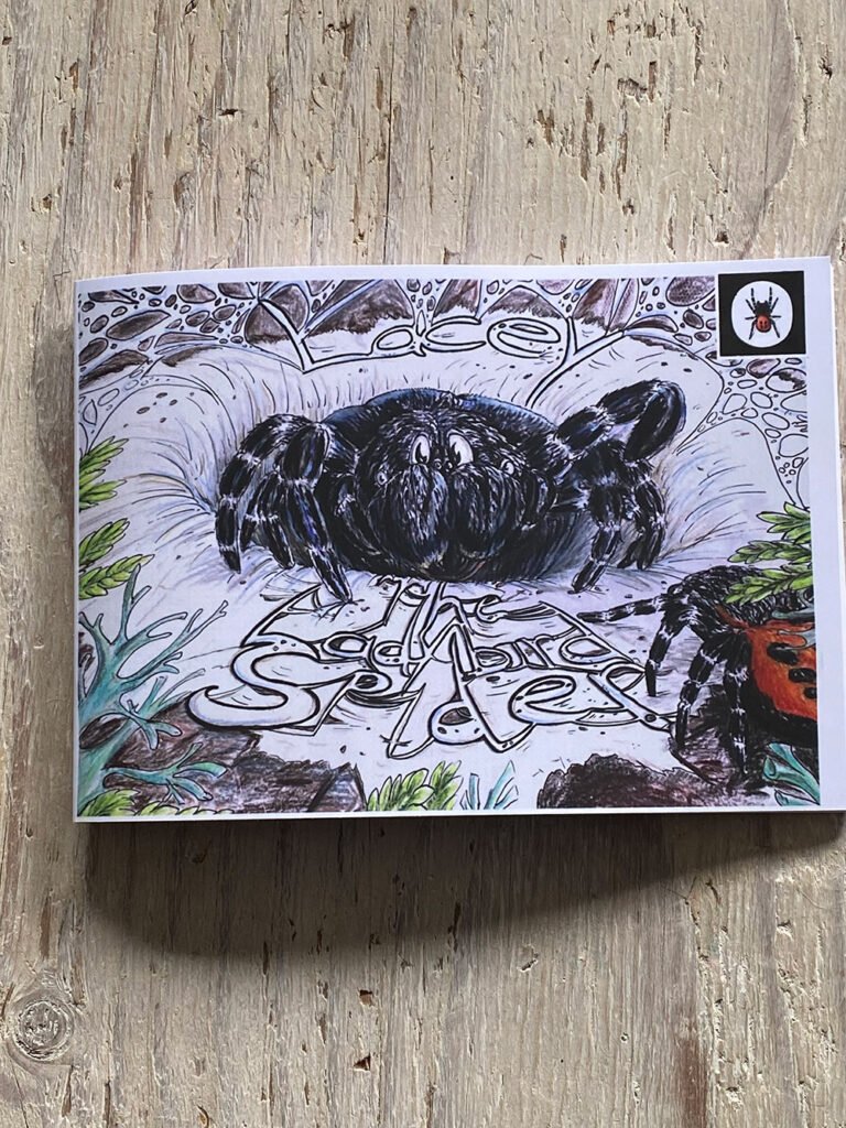 Lacey the Ladybird Spider Nature Discovery Book - Lifeforms Art
