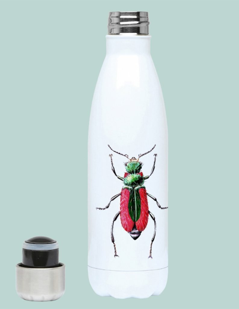 Scarlet Malachite Beetle Water Bottle | Lifeforms Art | Conservation