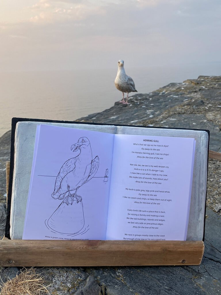 Gulls and Buoys Nature discovery book - Lifeforms Art