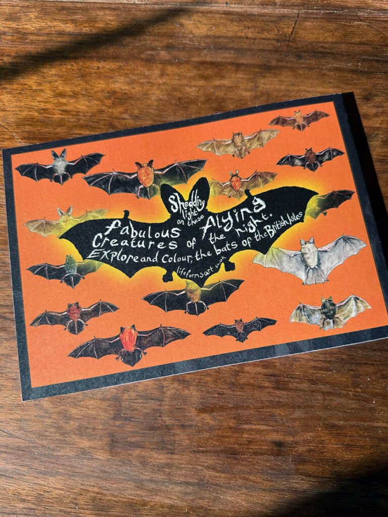 Bats Colouring Book | Lifeforms Art | Discover More About Bats