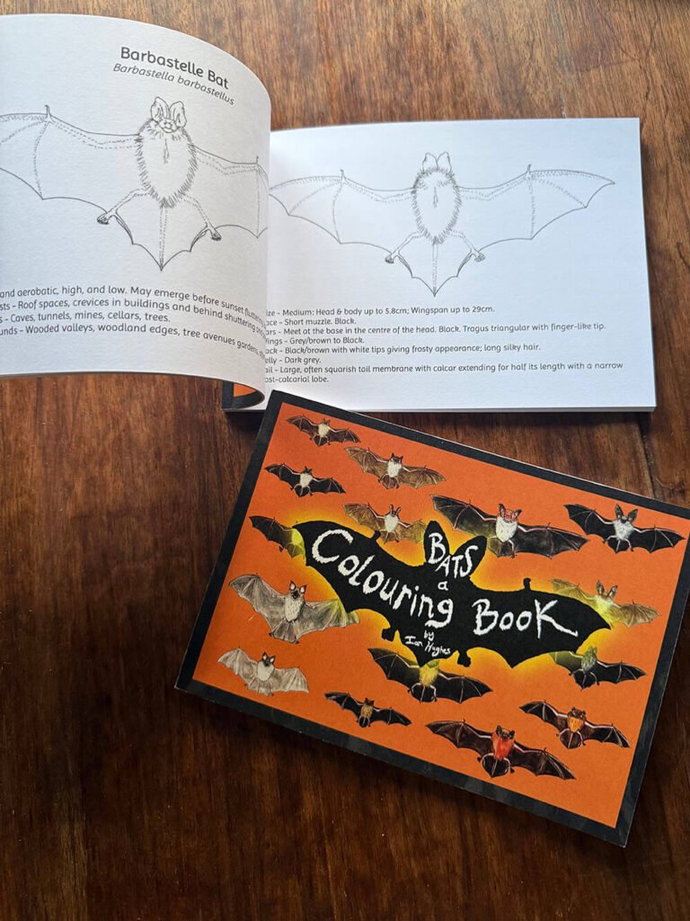 Bats Colouring Book | Lifeforms Art | Discover More About Bats