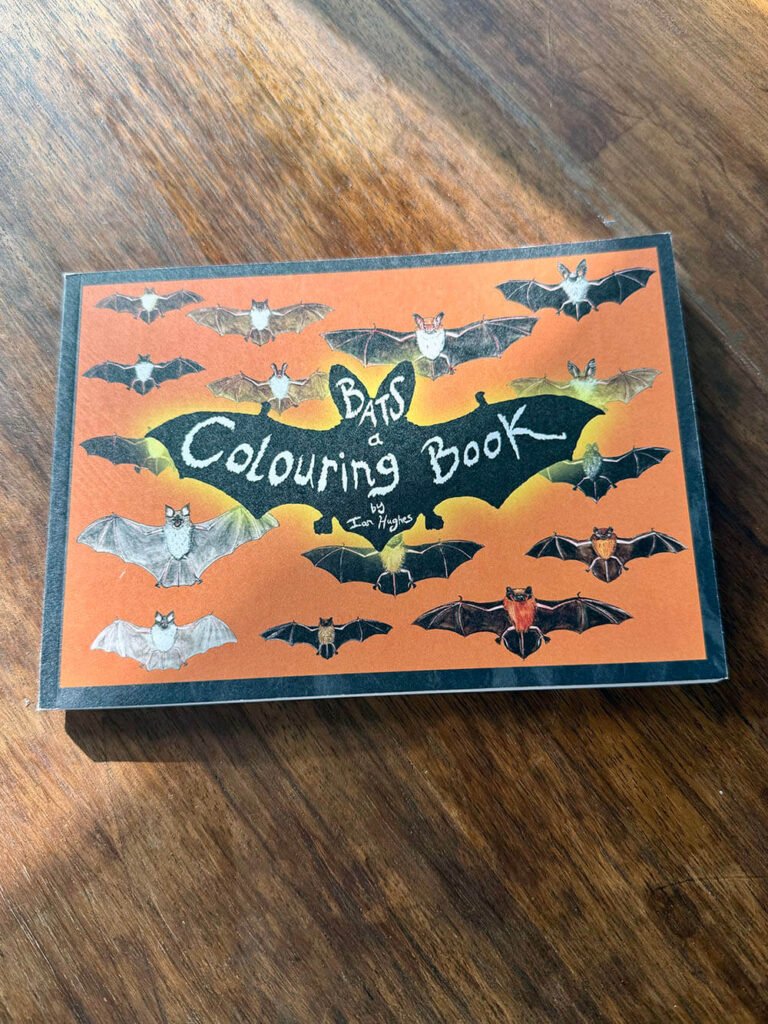 Bats Colouring Book | Lifeforms Art | Discover More About Bats