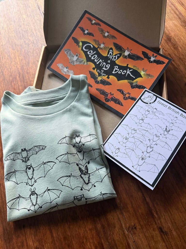 Bats Colouring Book | Lifeforms Art | Discover More About Bats